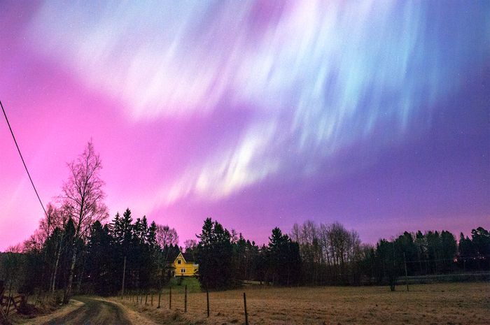 cuc quang - Kinh nghiệm Du lịch Việt Nam