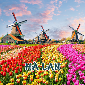 Tour Du Lịch Hà Lan | Du Lịch Việt Nam
